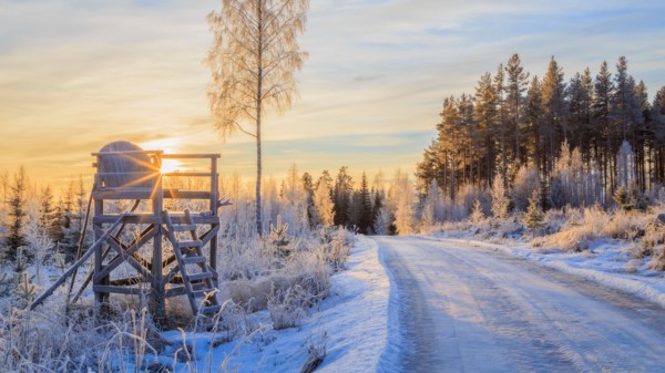 Jägarskoledeltagare Utbildnins-Älgjakt på Renflomarken Persson Invest
